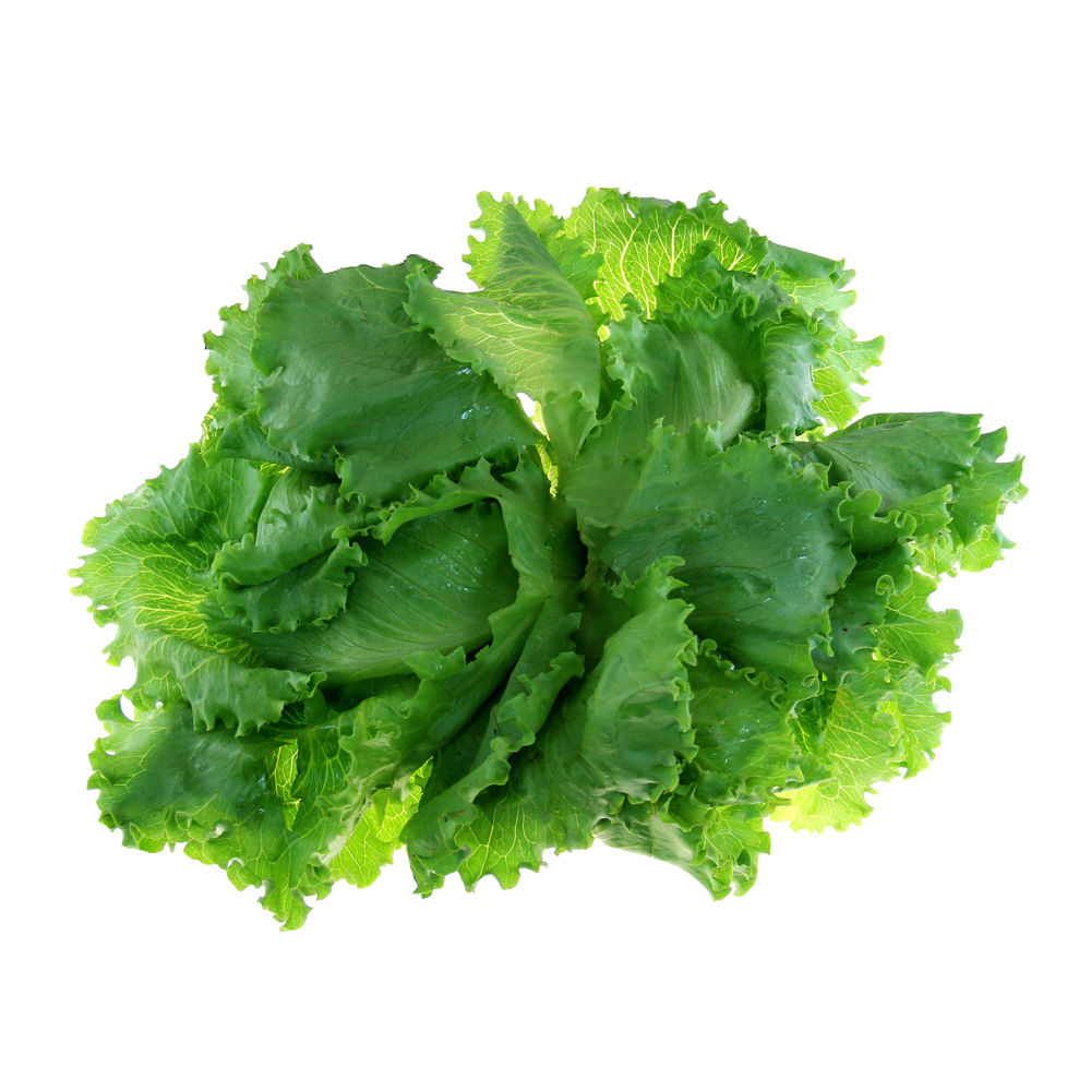 Alface Americana Felicio Maço